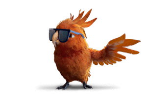 Home - Bizili Bizili | De digitale licentie van Reprobel